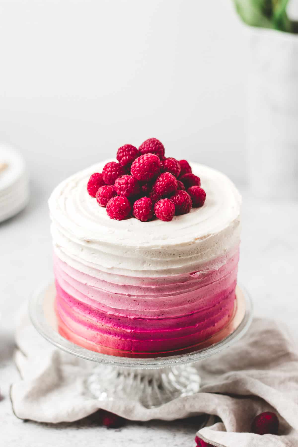 AMAZING Raspberry Vanilla Cake | Ana's Baking Chronicles